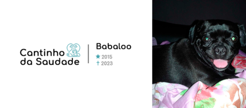 Babaloo ★2015 2023 | Saudade Animal
